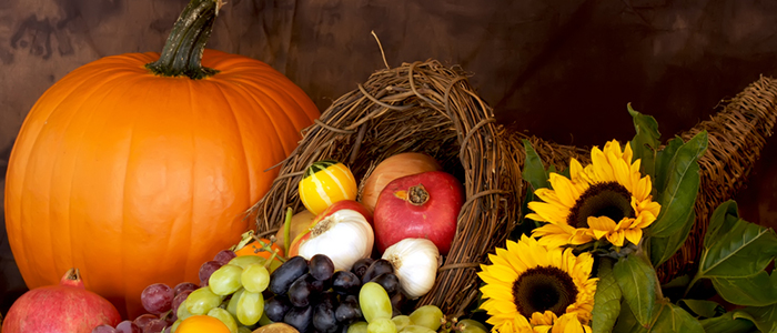 Santa Cruz Fall Harvest Guide - SantaCruz.com